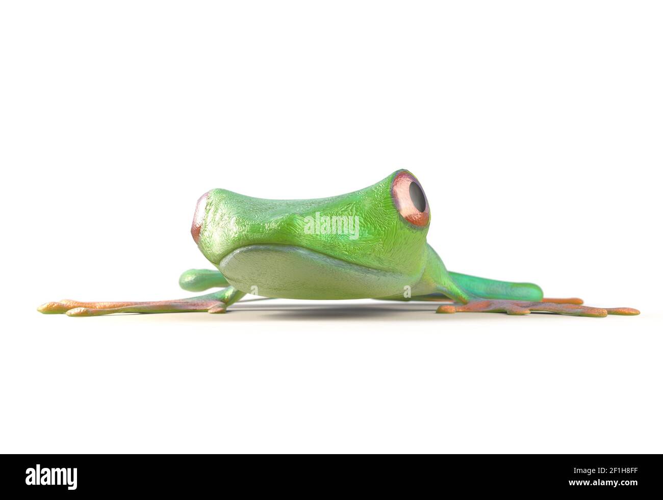 Looking up at the rainforest Cut Out Stock Images & Pictures - Alamy