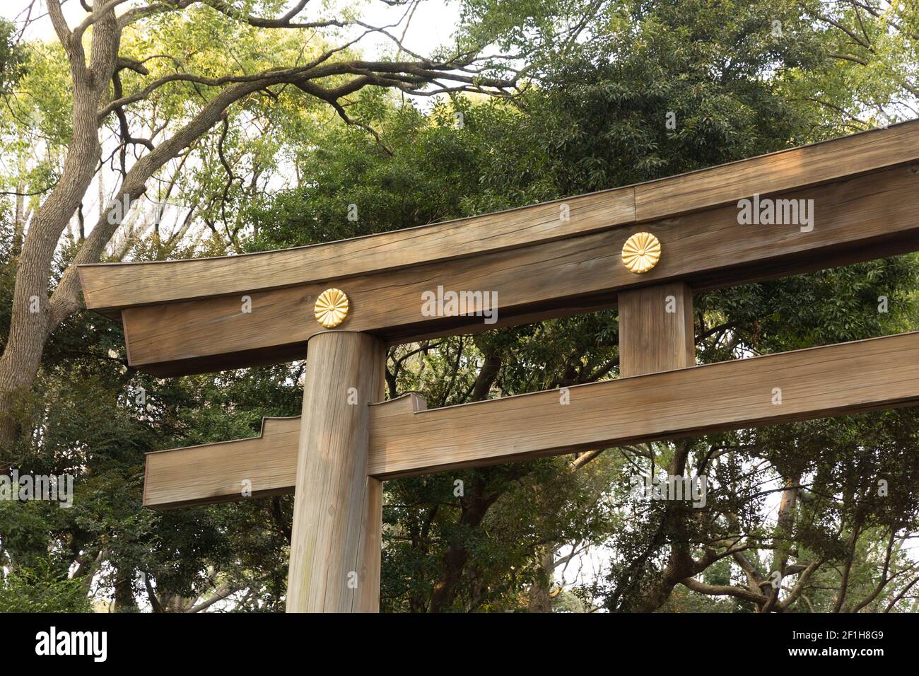 Meiji Jingu First Torii gate Tokyo, Japan Stock Photo - Alamy