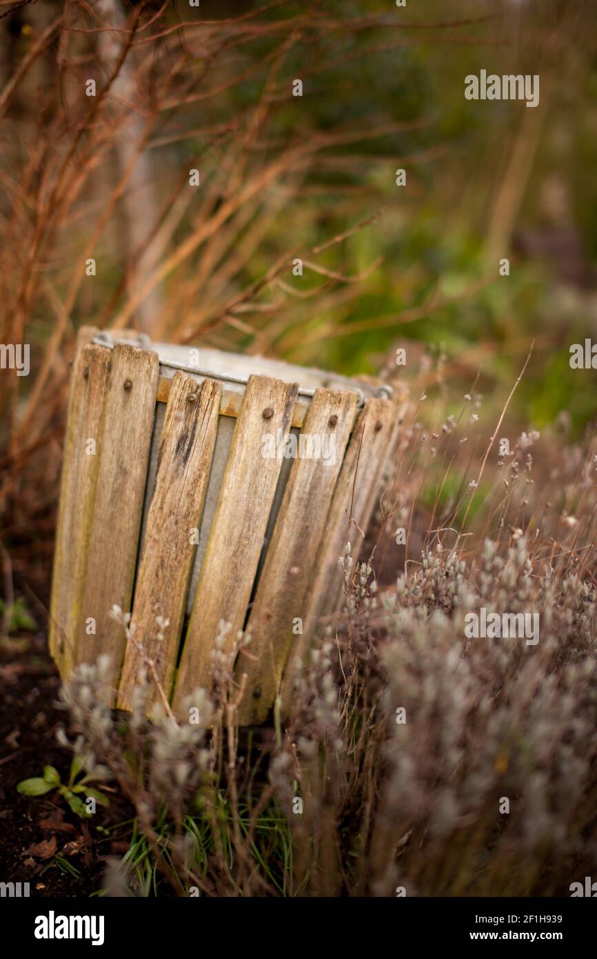 Old rubbish bin Stock Photo - Alamy