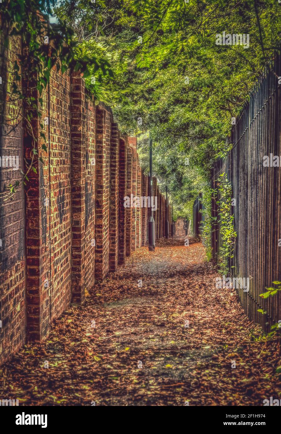Autumn pathway in town Stock Photo - Alamy