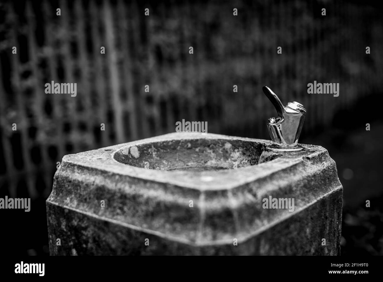 Drinking water fountain in green park Black and White Stock Photos ...