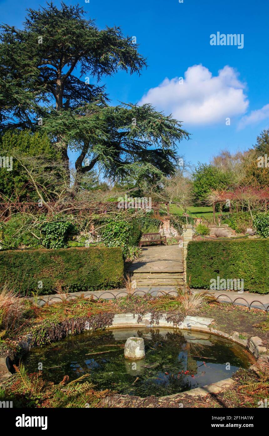 Pond in the park Stock Photo - Alamy