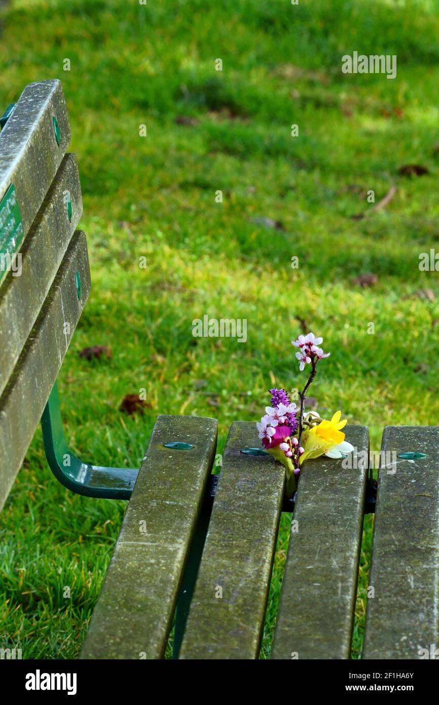 Spring flowers on a park bench Stock Photo - Alamy