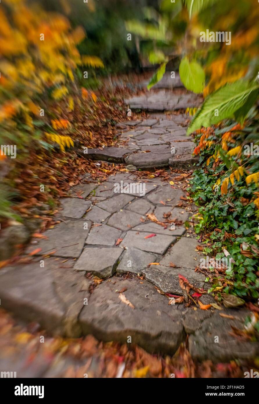 Pathway in a park in autumn Stock Photo - Alamy