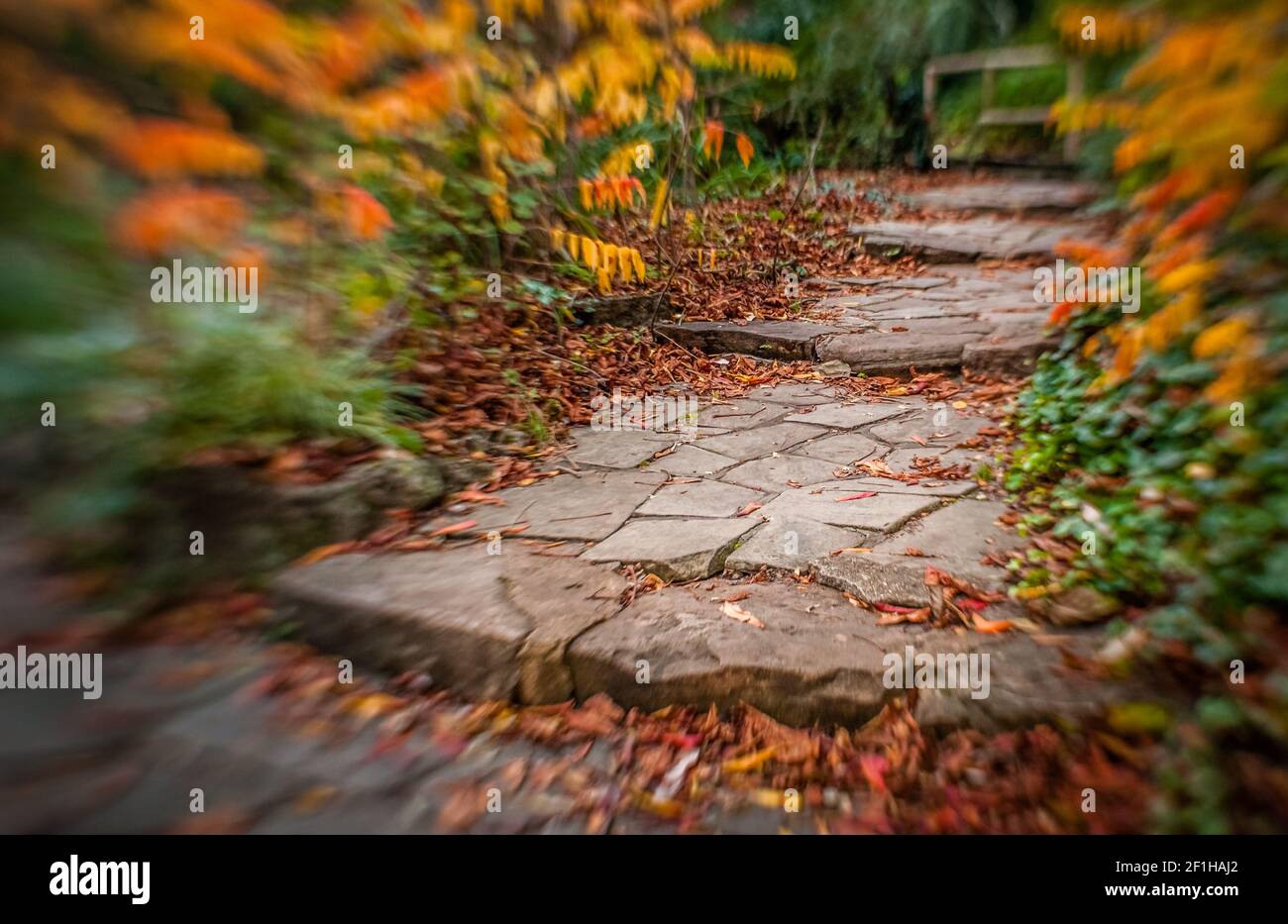 Pathway in a park in autumn Stock Photo - Alamy