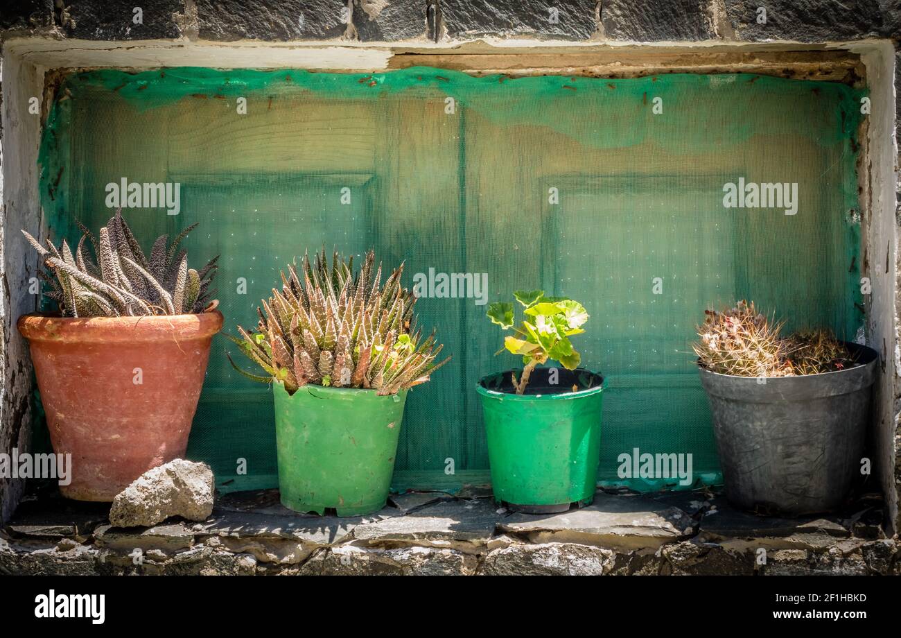 Colourful wildflower patch hi-res stock photography and images - Alamy