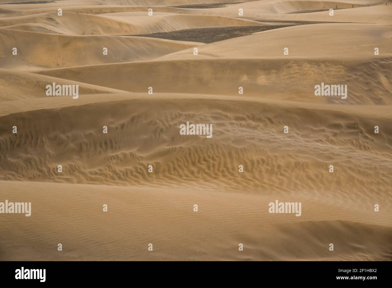 Sand dunes shapes and patterns Stock Photo - Alamy