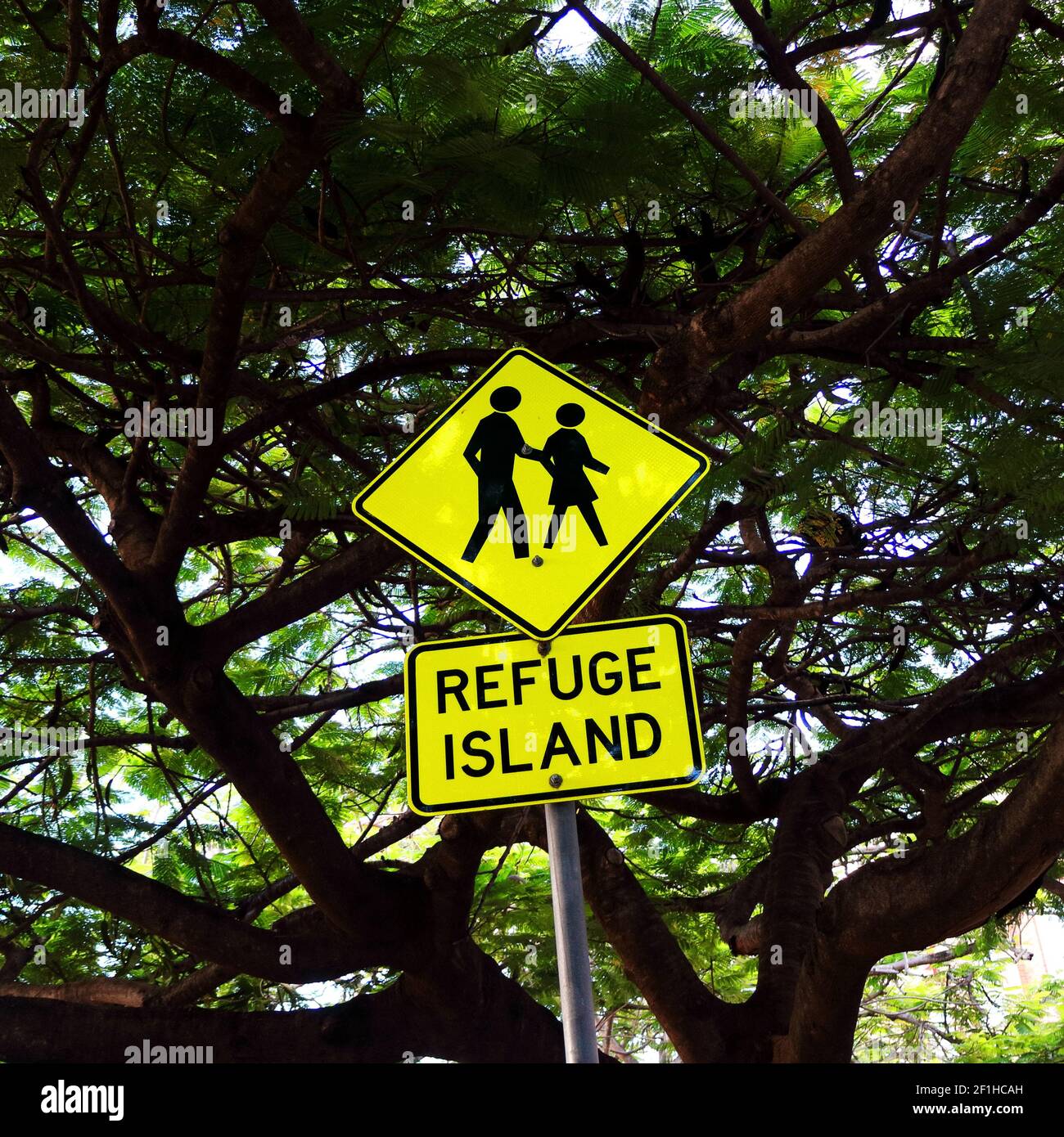Refuge Island Street Sign Among Trees Stock Photo - Alamy