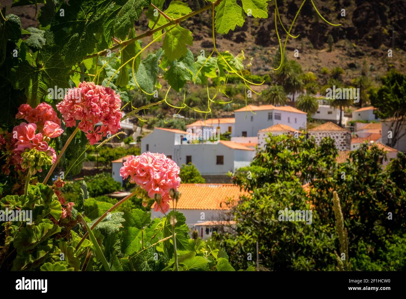 Fataga village in Gran Canaria Stock Photo - Alamy