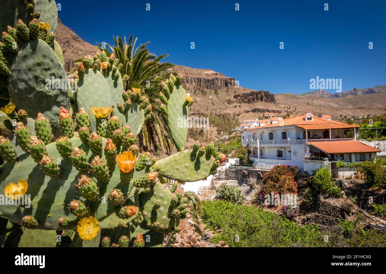 Fataga house gran canaria hi-res stock photography and images - Alamy