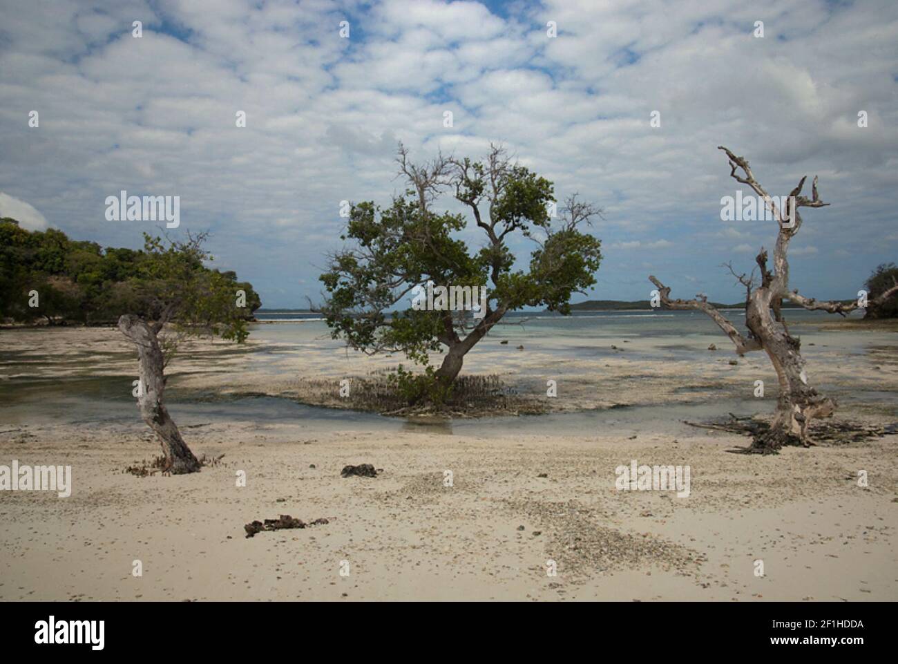 A part of Nembrala beach in 2009. Rote Island, Rote Ndao regency, East ...