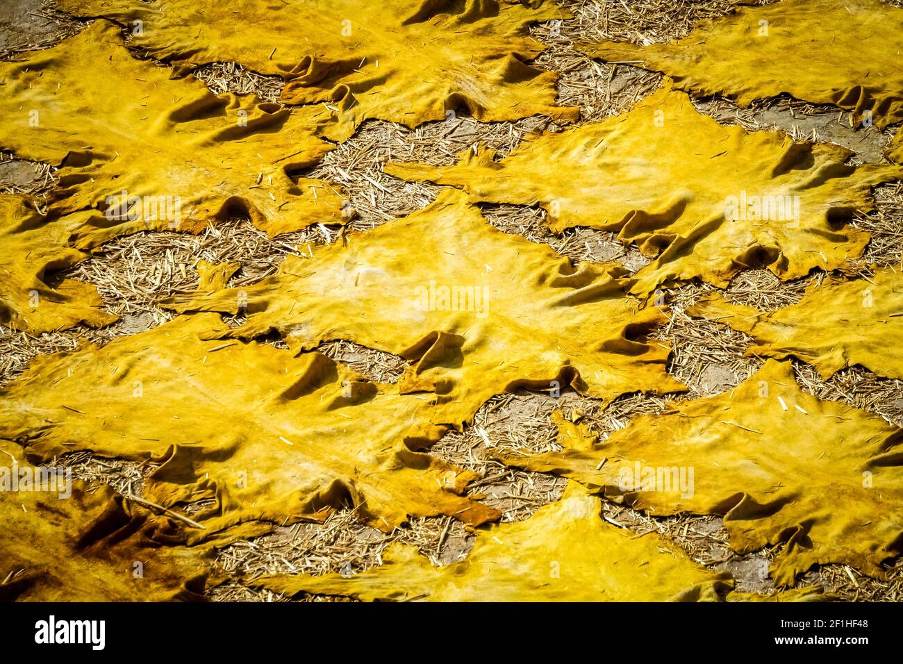 Dyed skins left to dry Stock Photo - Alamy