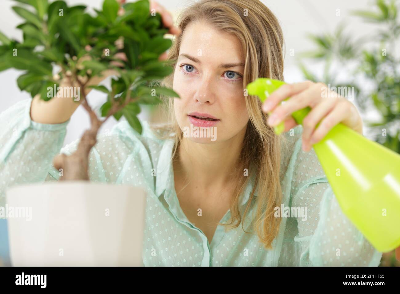 woman spraying plant Stock Photo - Alamy