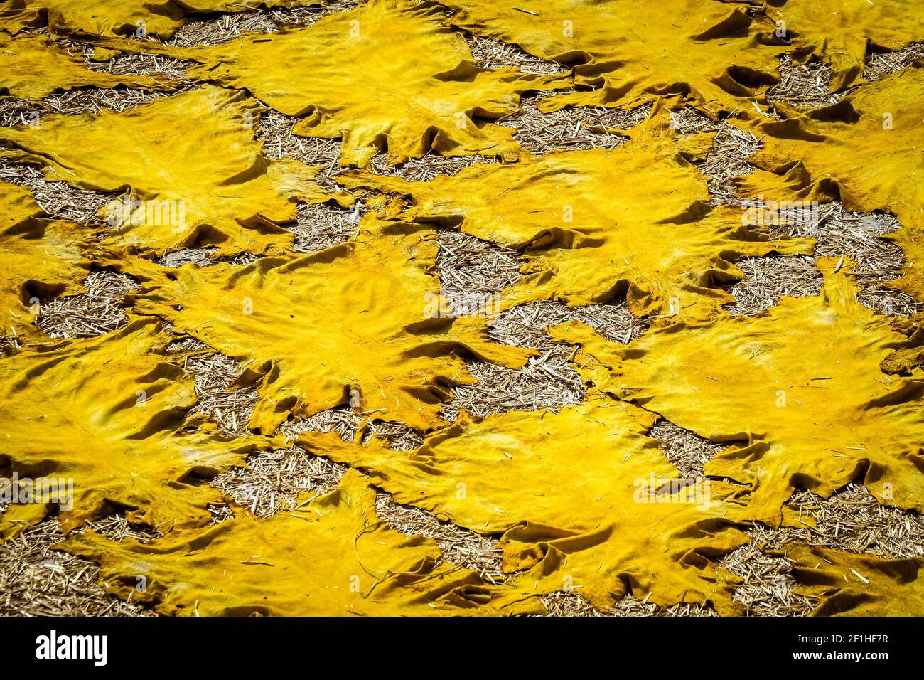 Dying skin art hi-res stock photography and images - Alamy