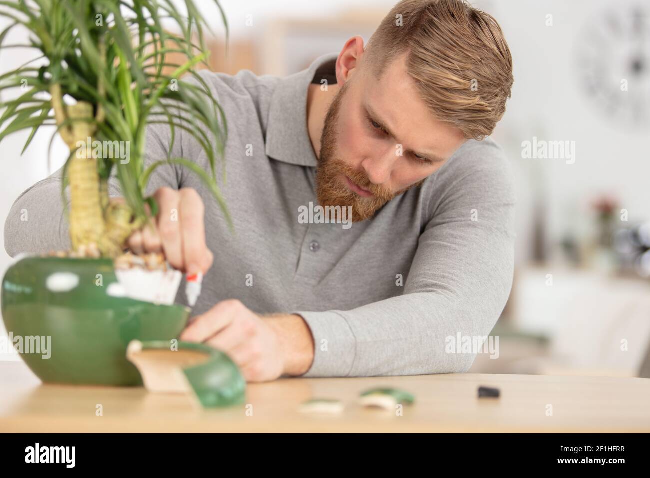Broken plant pot hi-res stock photography and images - Alamy