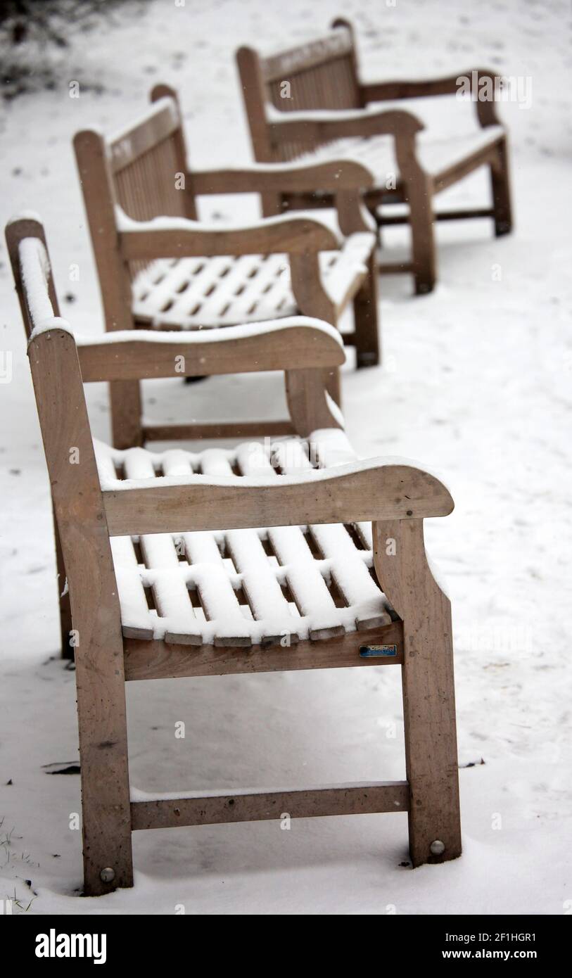 Park benches in winter Stock Photo - Alamy