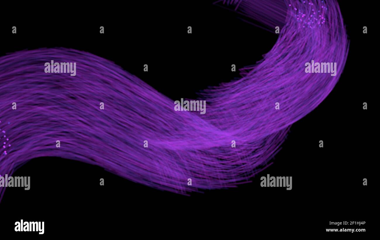 Wave of the violet colored curved lines. Abstract wavy stripes on a ...