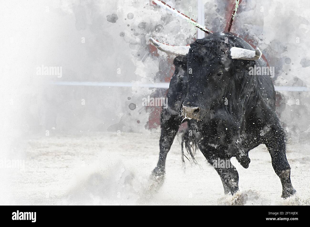 Against Bull Fighting High Resolution Stock Photography and Images - Alamy