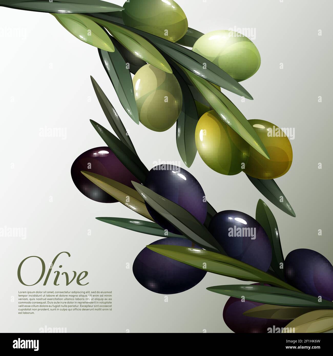 Abstract olive branches poster of green and black sorts in realistic ...