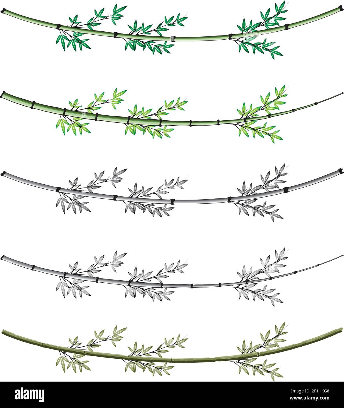 vector drawing bamboo stick leaf design set Stock Vector Image & Art ...