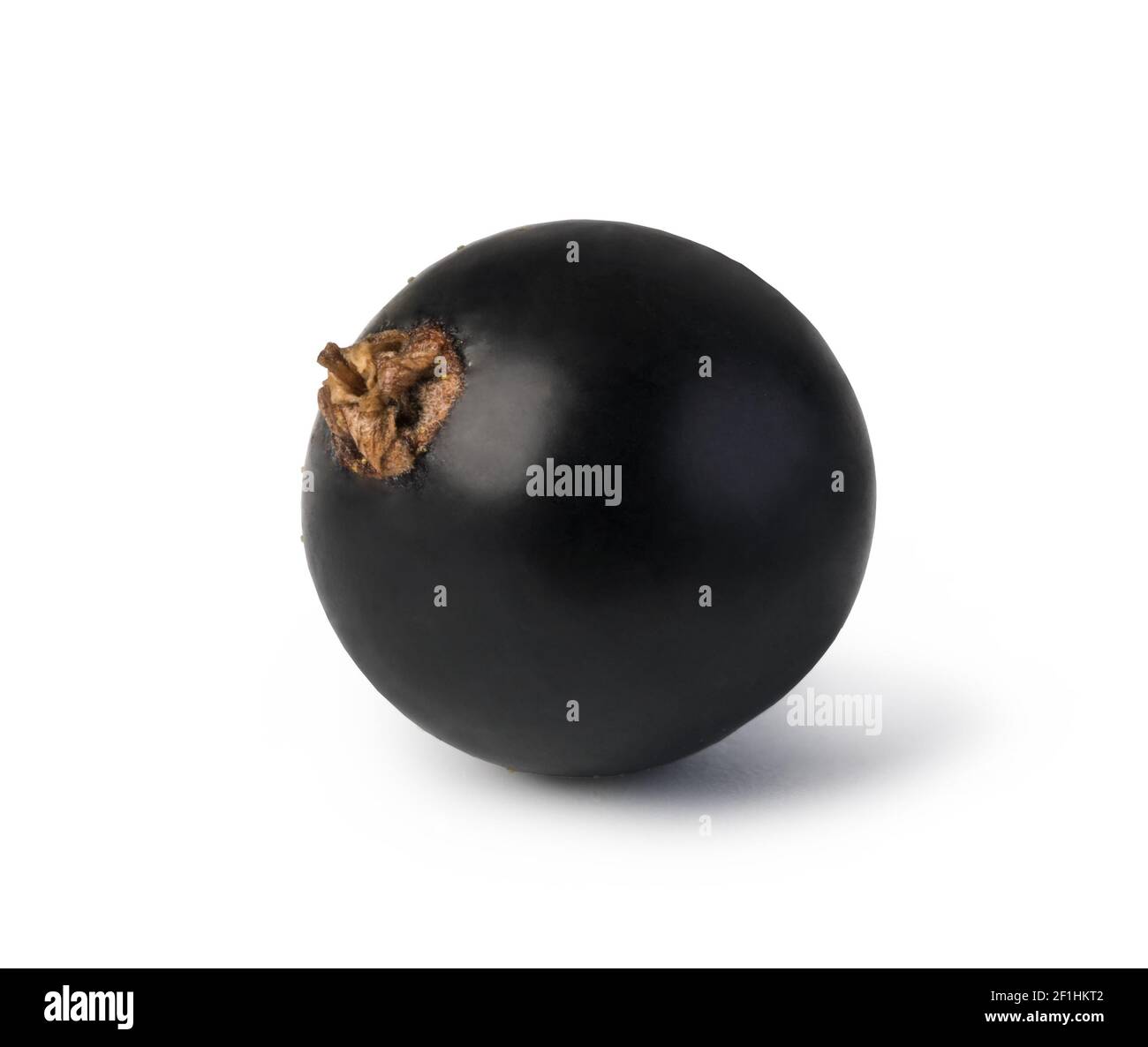 Schwarze ribisel Cut Out Stock Images & Pictures - Alamy