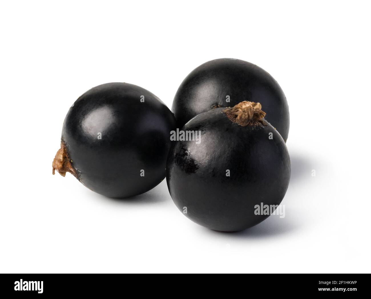 Schwarze ribisel Cut Out Stock Images & Pictures - Alamy