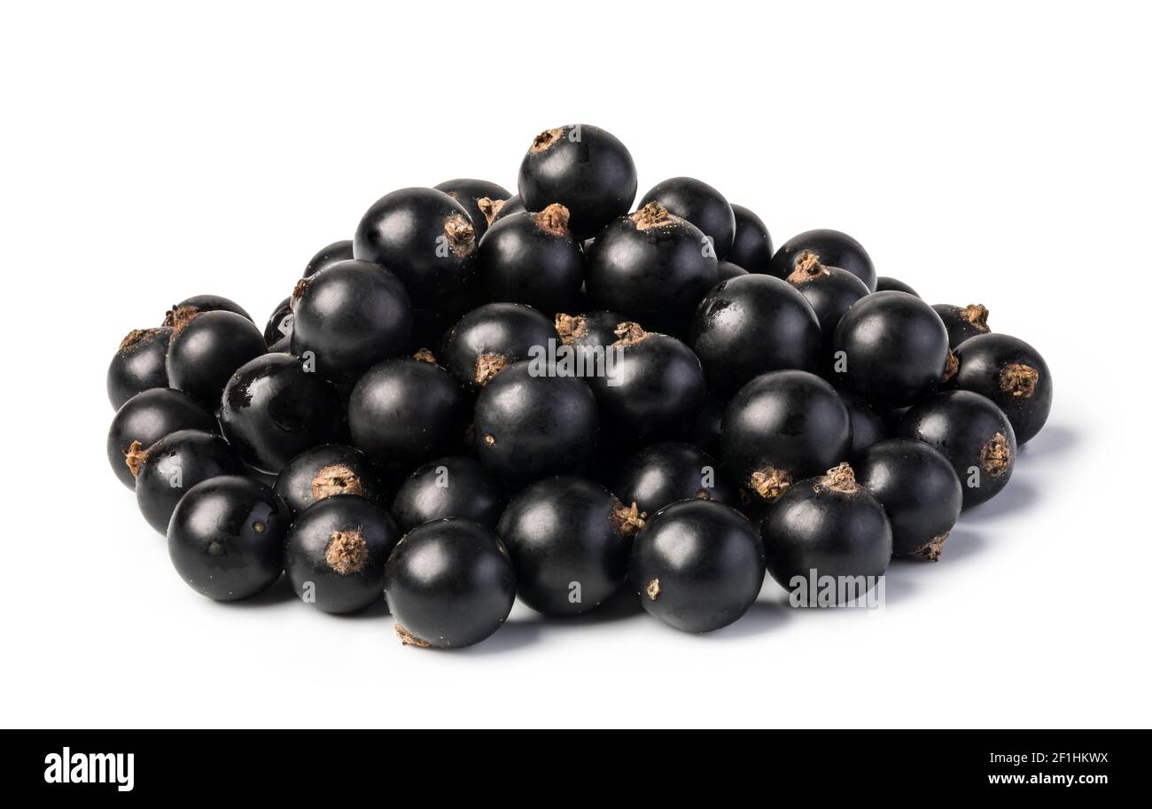Schwarze ribisel Cut Out Stock Images & Pictures - Alamy