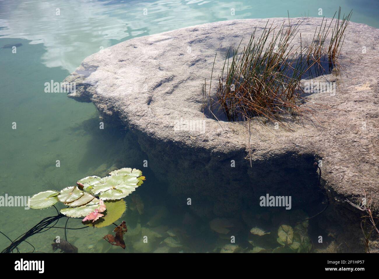 Cyanobacteria fossil hi-res stock photography and images - Alamy