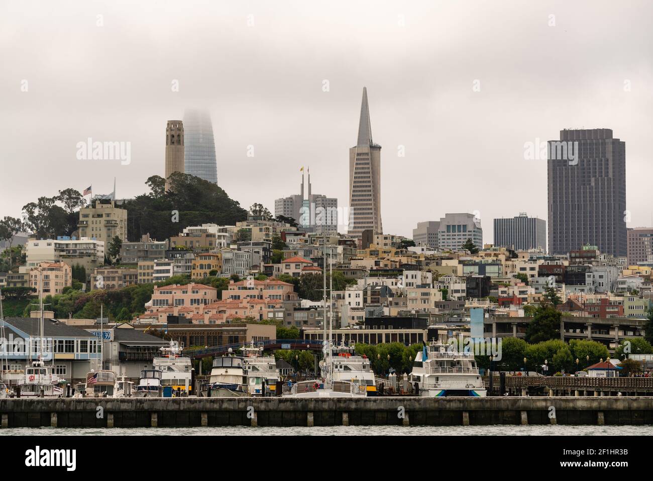 Boats Float at the Marina Near Pier 39 and the Ferry Dock San Francisco ...