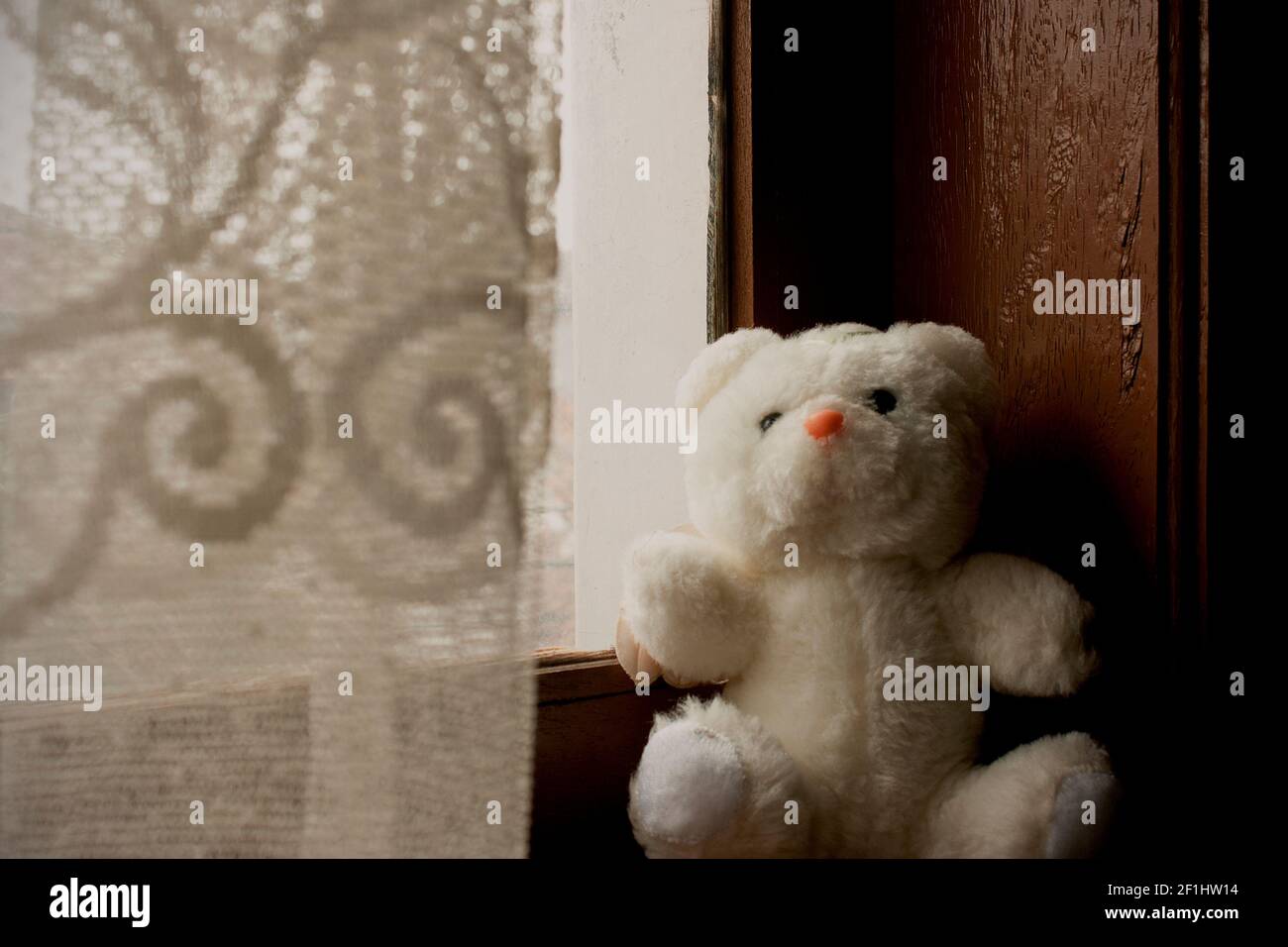doll bear in window Stock Photo - Alamy