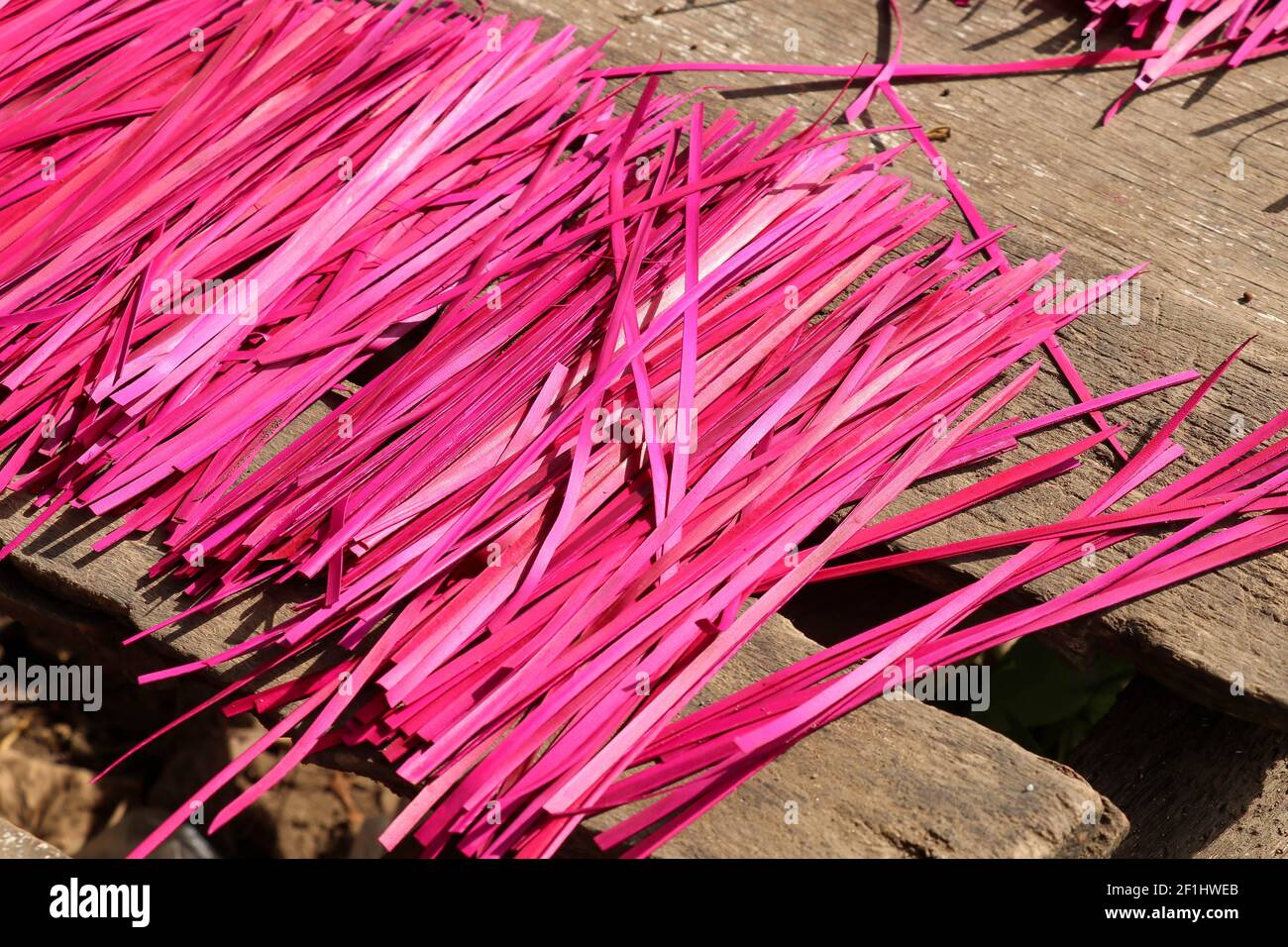 Colored reed stalks for Hindu offerings and ceremonies. Pink colored ...