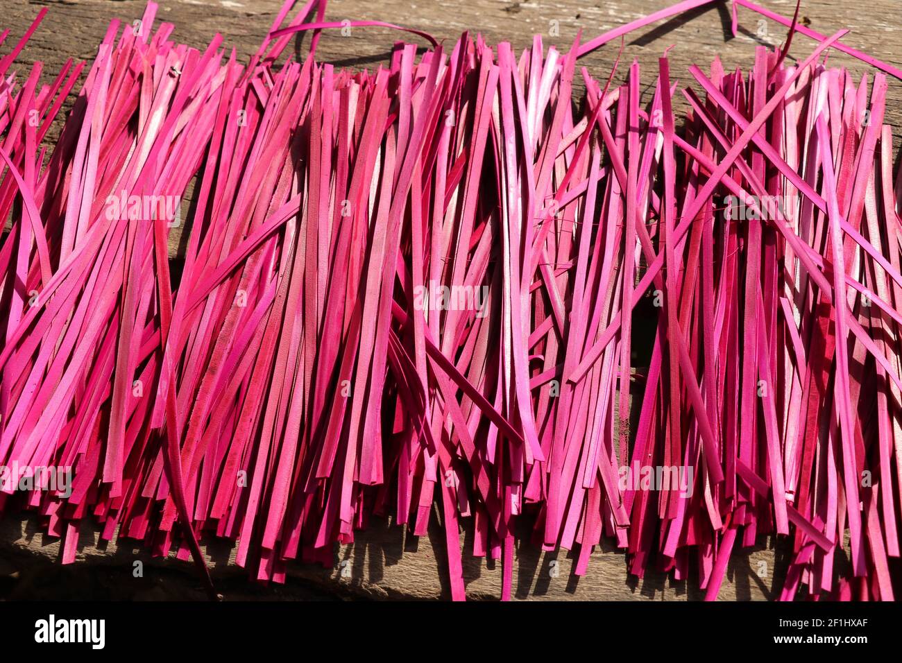 Colored reed stalks for Hindu offerings and ceremonies. Pink colored ...