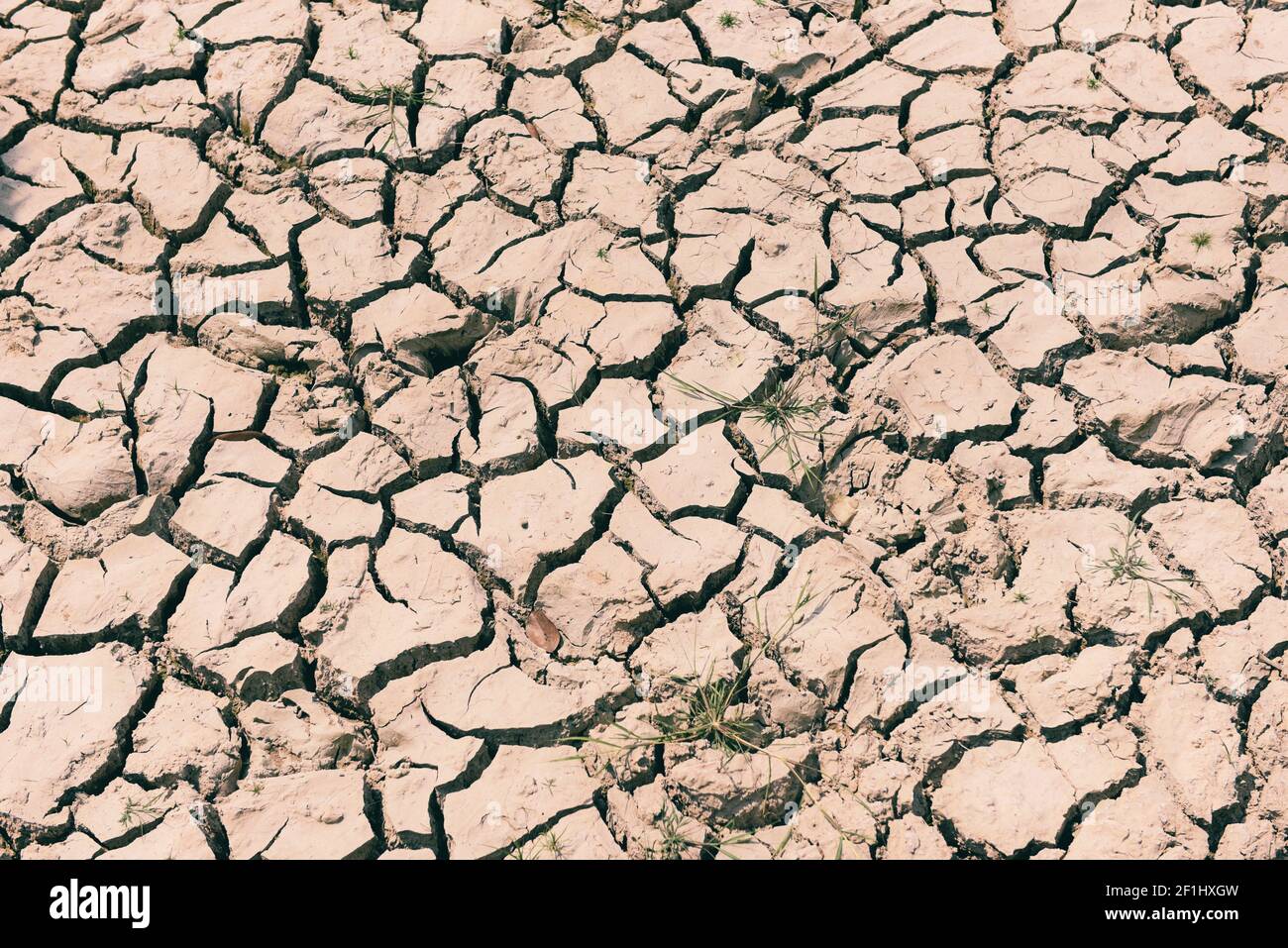 Cracked soil arid land with dry and cracked ground desert texture ...