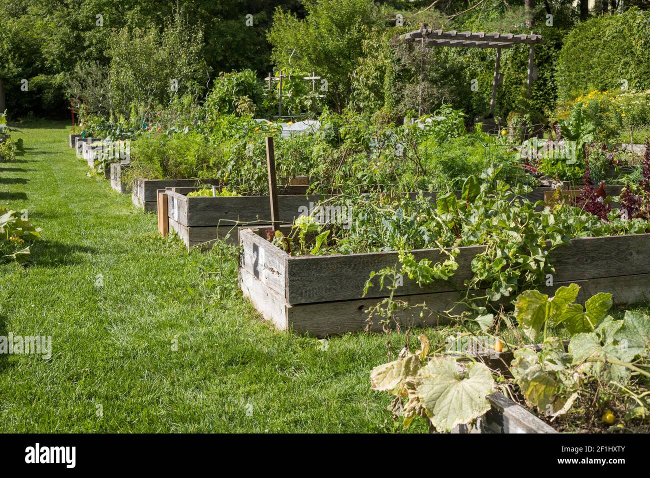 Vegetables in green boxes hi-res stock photography and images - Alamy