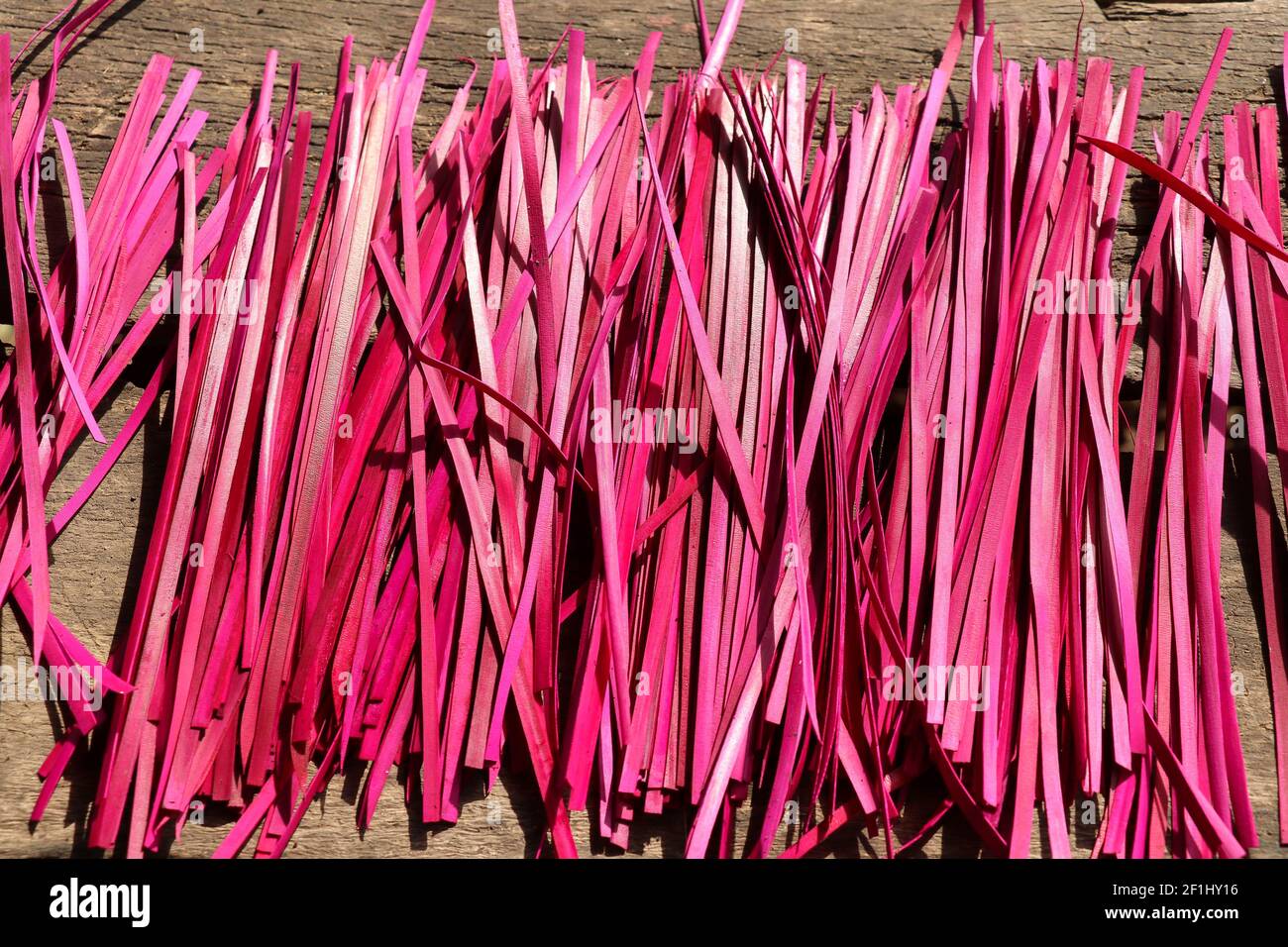 Colored reed stalks for Hindu offerings and ceremonies. Pink colored ...