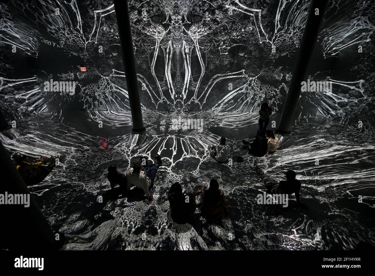 People watch “Geometric Properties” art installation, an immersive ...