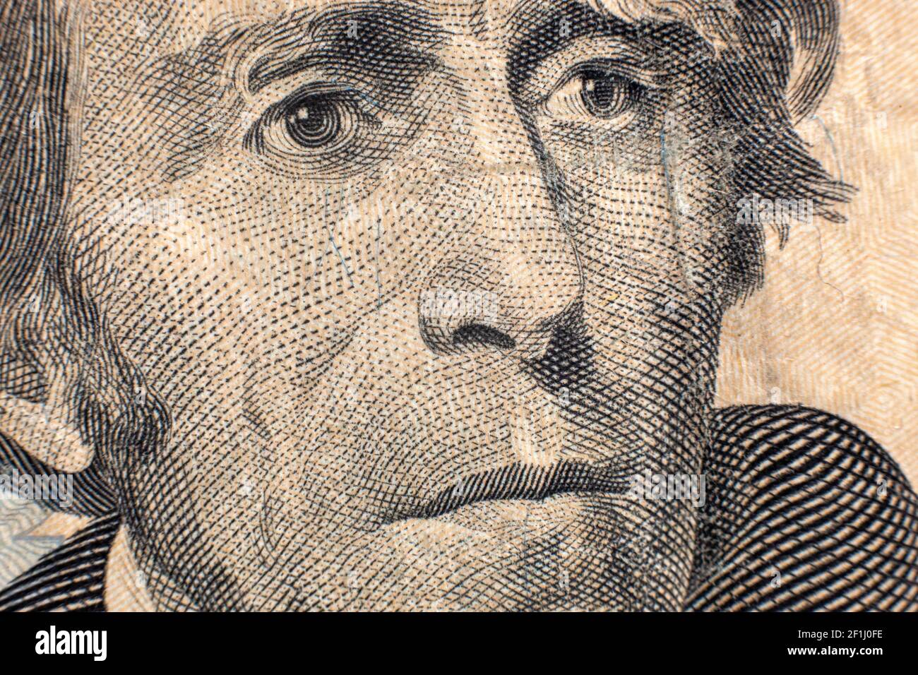 Andew Jackson portrait macro US 20 dollar banknote Stock Photo - Alamy