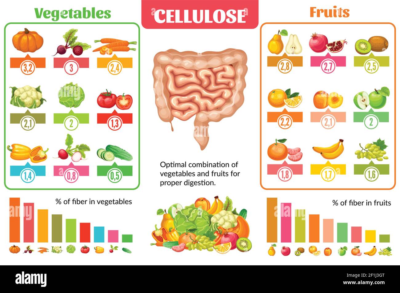 Cartoon healthy nutrition infographic concept with set of natural ...