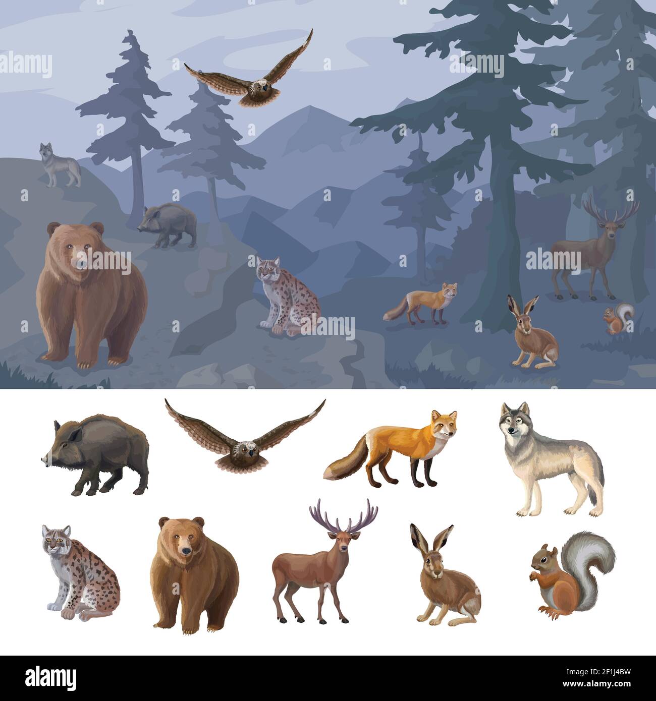 Cartoon colorful forest animals set with wild boar owl fox wolf lynx ...