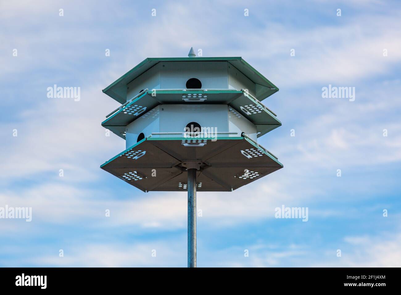 Purple martin birdhouse hi-res stock photography and images - Alamy