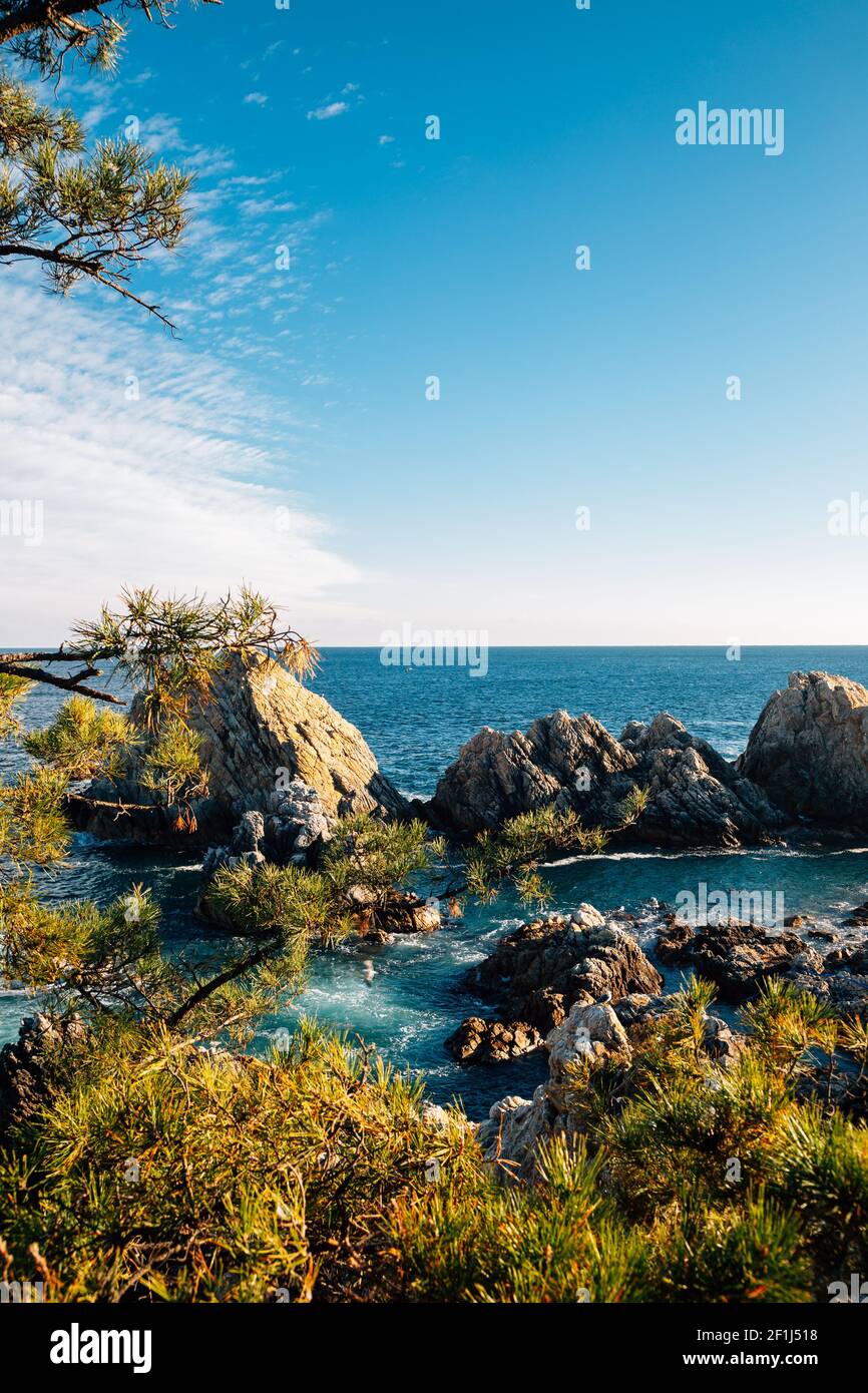 Jangho beach hi-res stock photography and images - Alamy