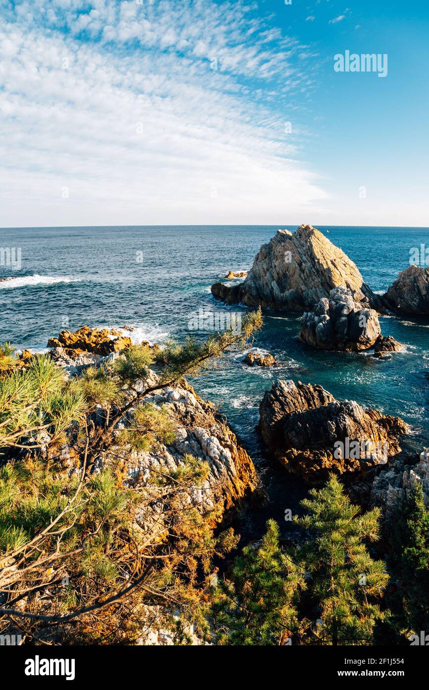 Jangho beach hi-res stock photography and images - Alamy