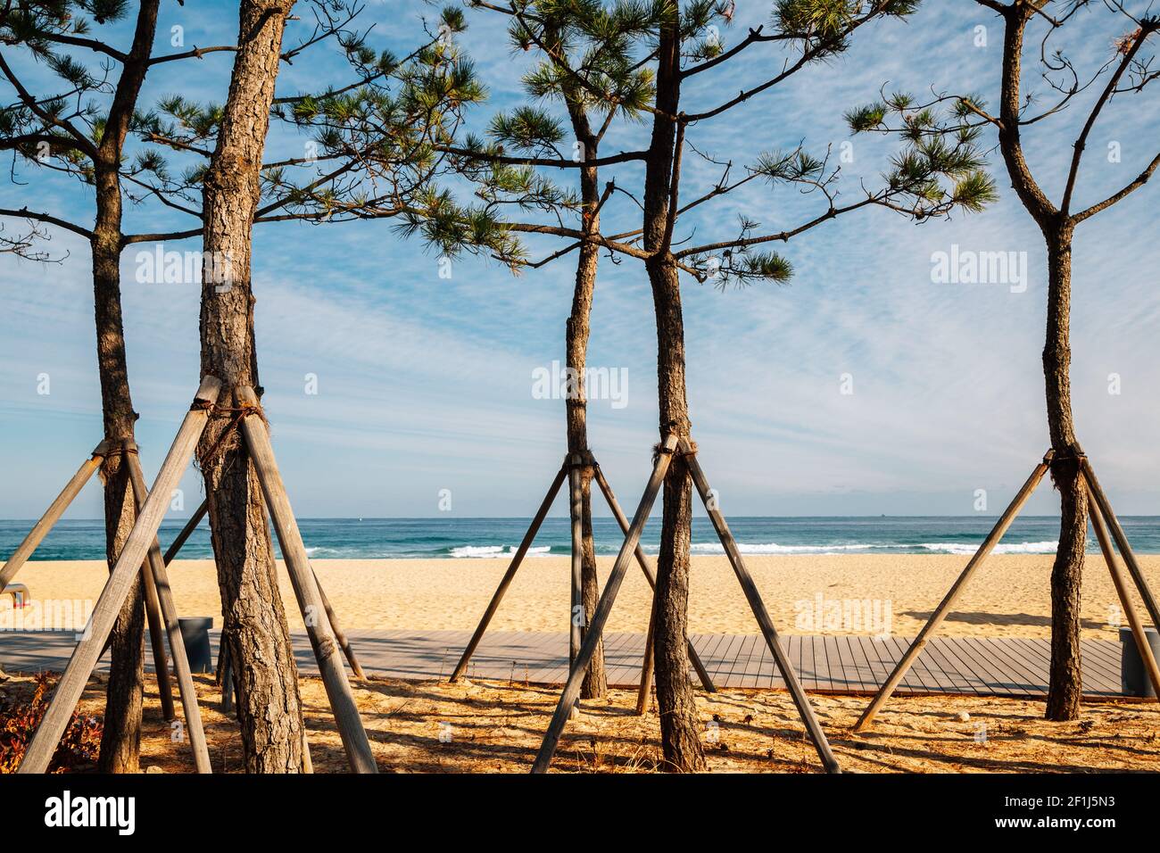Samcheok beach in Samcheok, Korea Stock Photo - Alamy