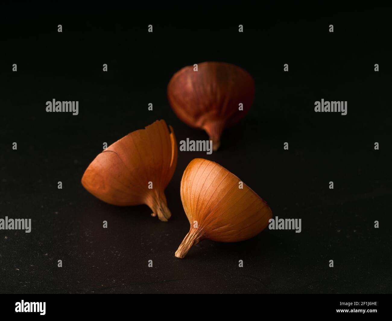 Three half parts of onion husk. Art composition. Low key, dark ...