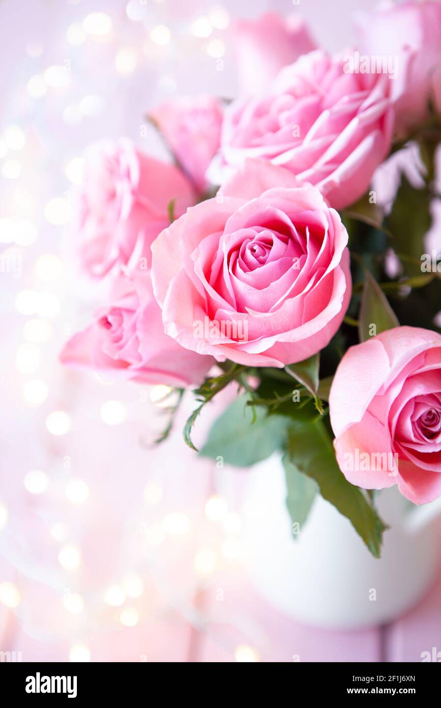 Pink roses in white pot Stock Photo - Alamy