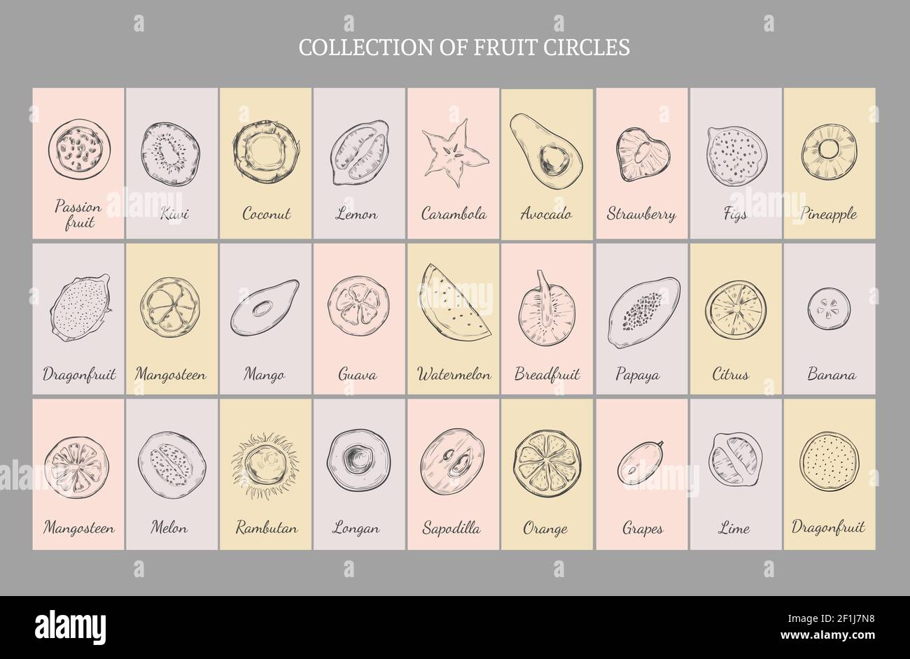 Hand drawn healthy fruits table concept with natural exotic and ...