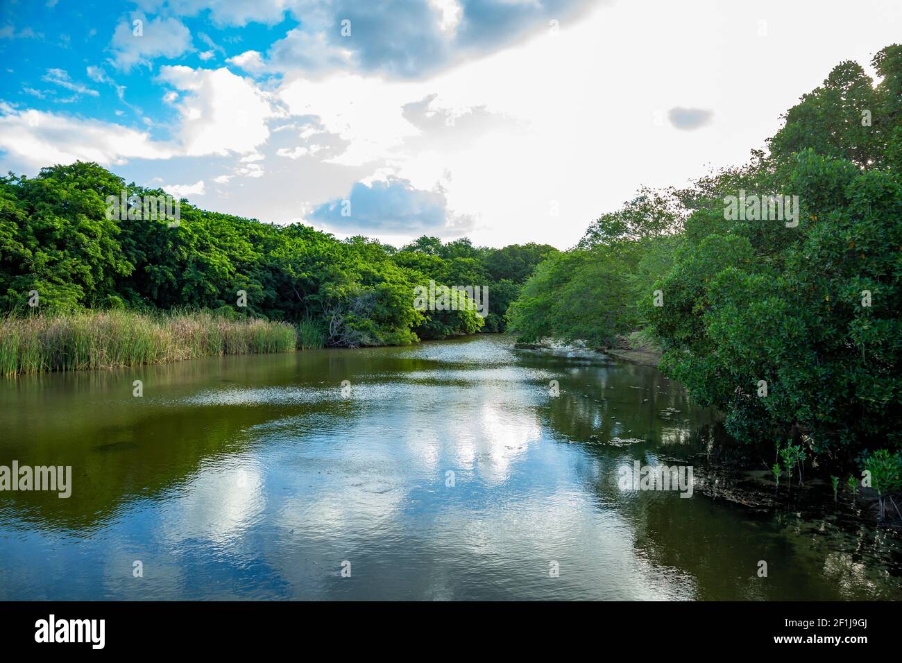 river near the public beach of Albion in the west of the tropical ...