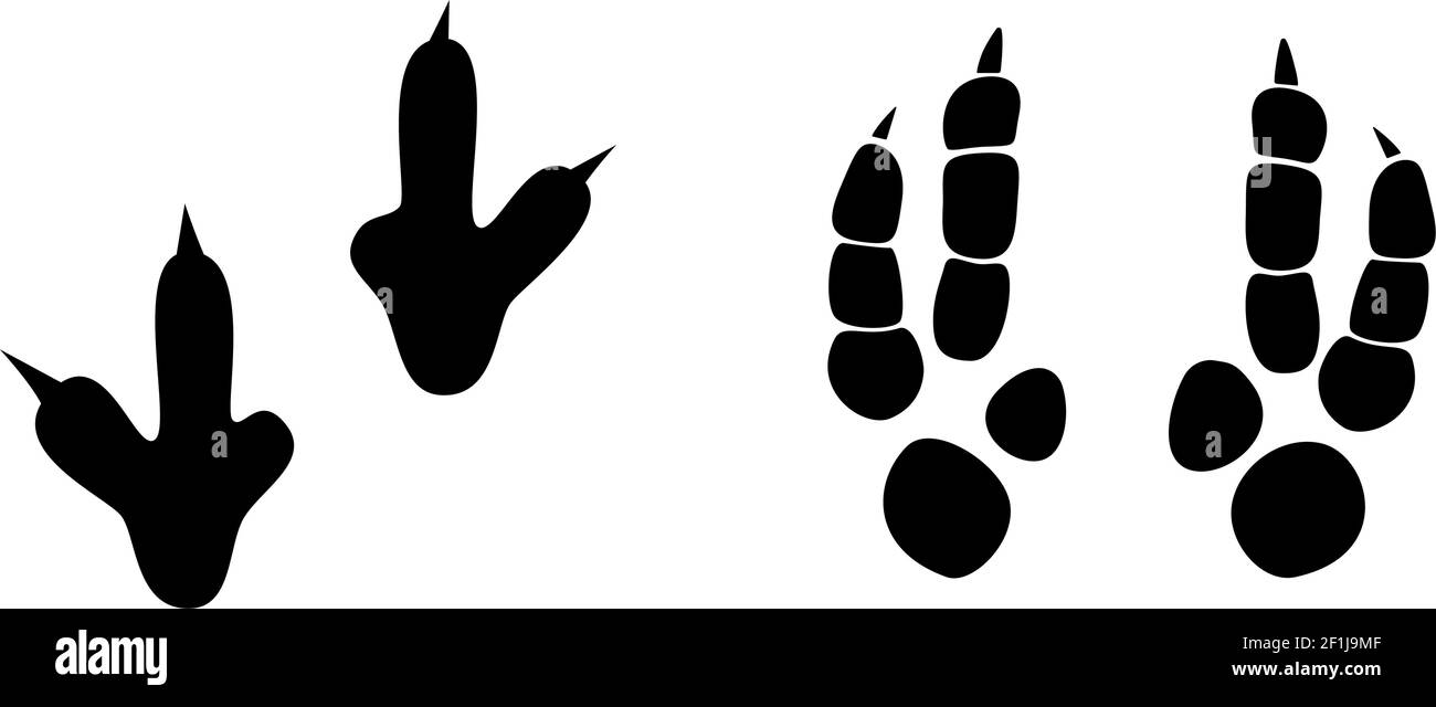 Kangaroo Tracks Clipart