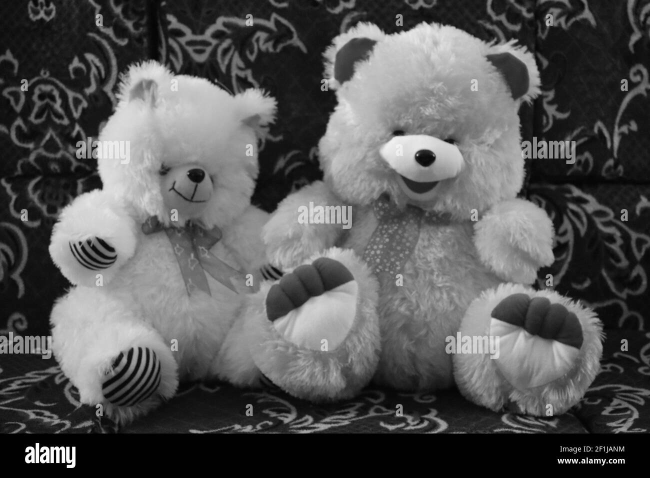 Teddy in nature Black and White Stock Photos & Images - Alamy