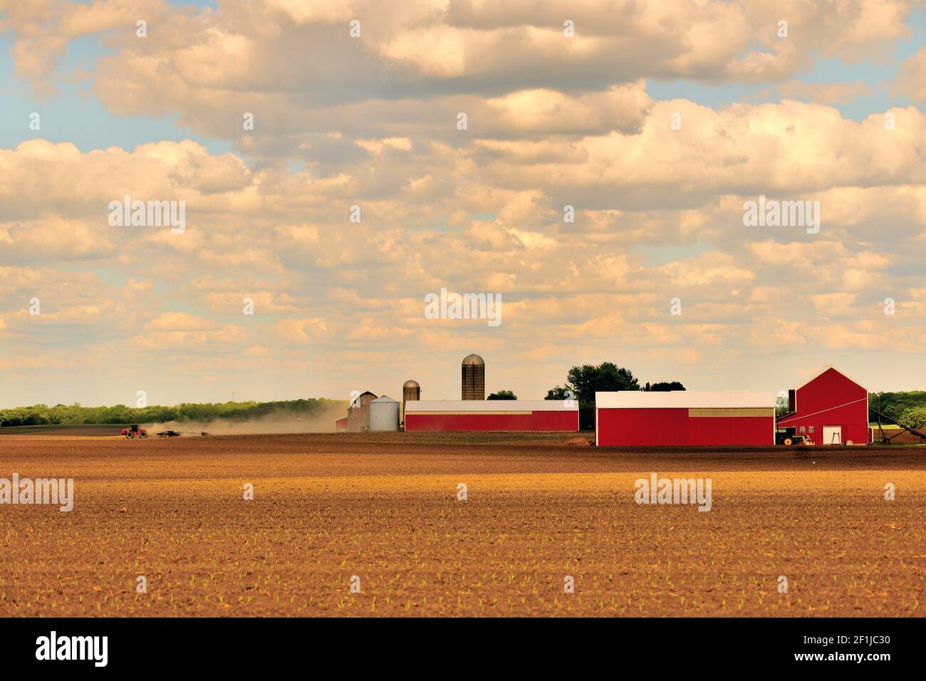 Crops emerging on a large farm while a tractor works in the background ...